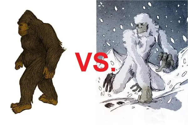 Bigfoot Encounters – How To Stay Safe – SelectSafety.net