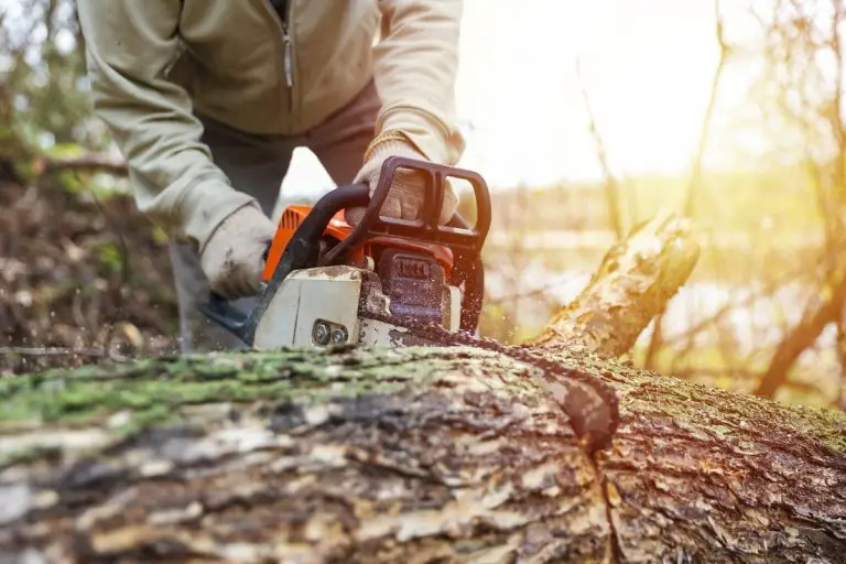 Chainsaw Standards & Measurements – SelectSafety.net