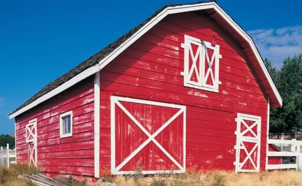 Can You Put a Standby Generator in a Barn? – SelectSafety.net